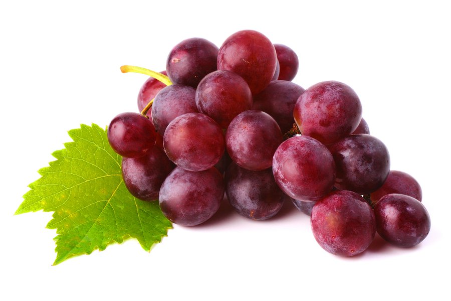 Uvas | Spanish to English Translation - SpanishDictionary.com