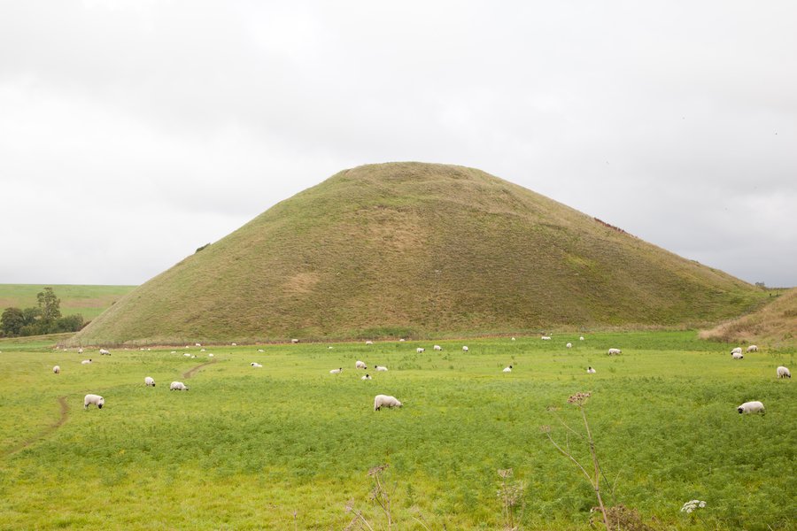 Monte en inglés | Traductor de español a inglés - inglés.com