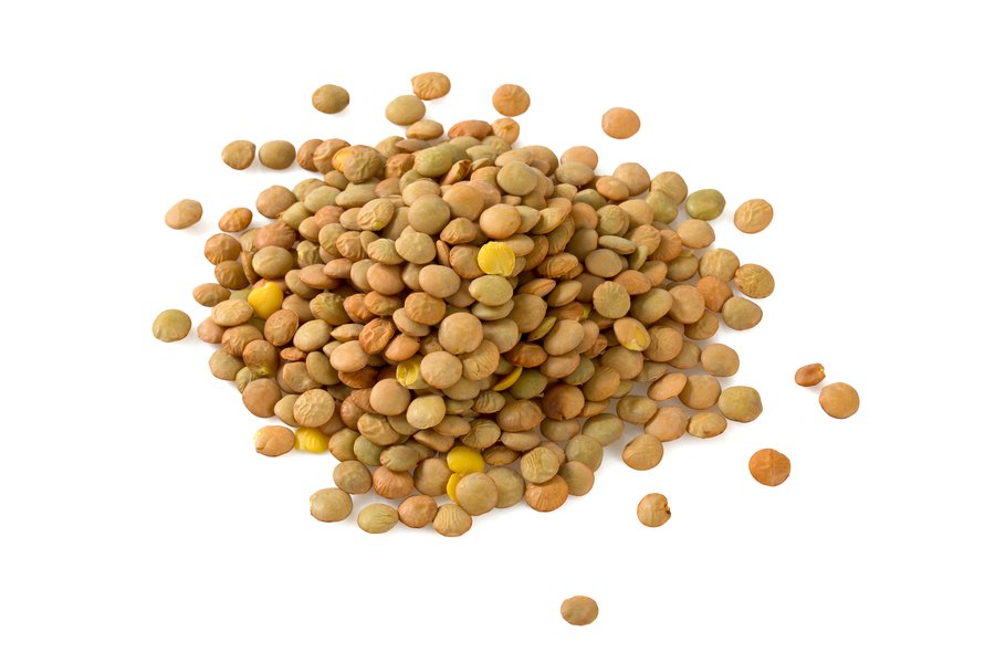 Lentil in Spanish | English to Spanish Translation - SpanishDictionary.com