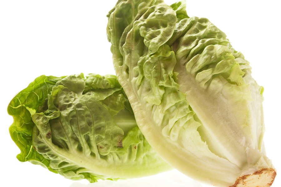 Lettuce in Spanish | English to Spanish Translation - SpanishDictionary.com