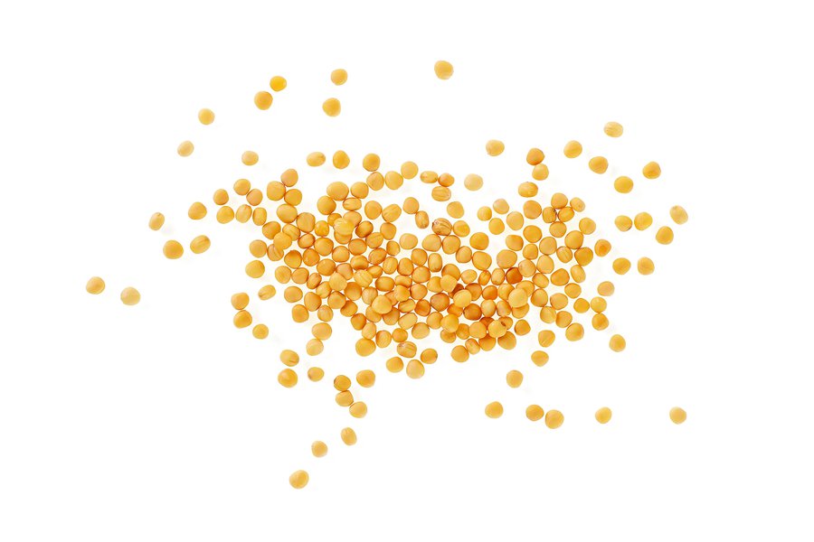 Mustard in Spanish | English to Spanish Translation - SpanishDictionary.com