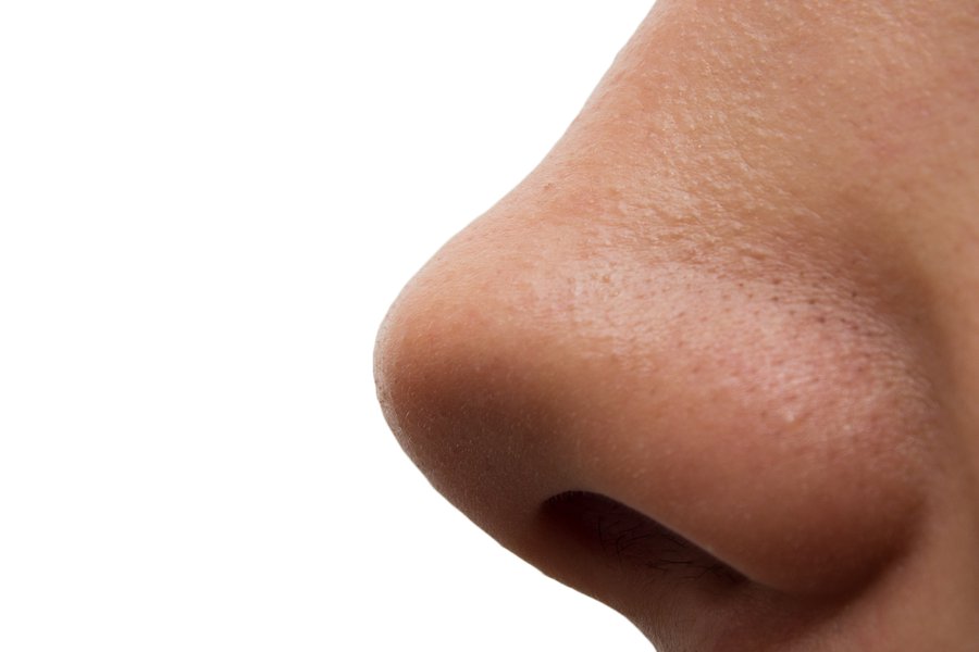 Nose | Traductor de inglés a español - inglés.com