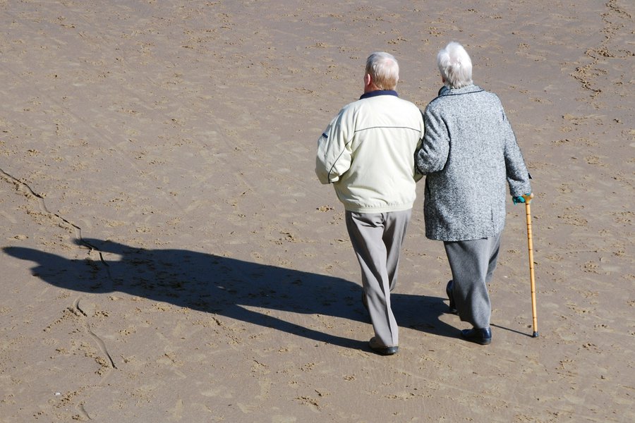 Companion | Traductor de inglés a español - inglés.com