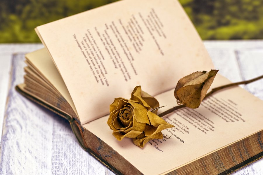 Poema | Spanish to English Translation - SpanishDictionary.com