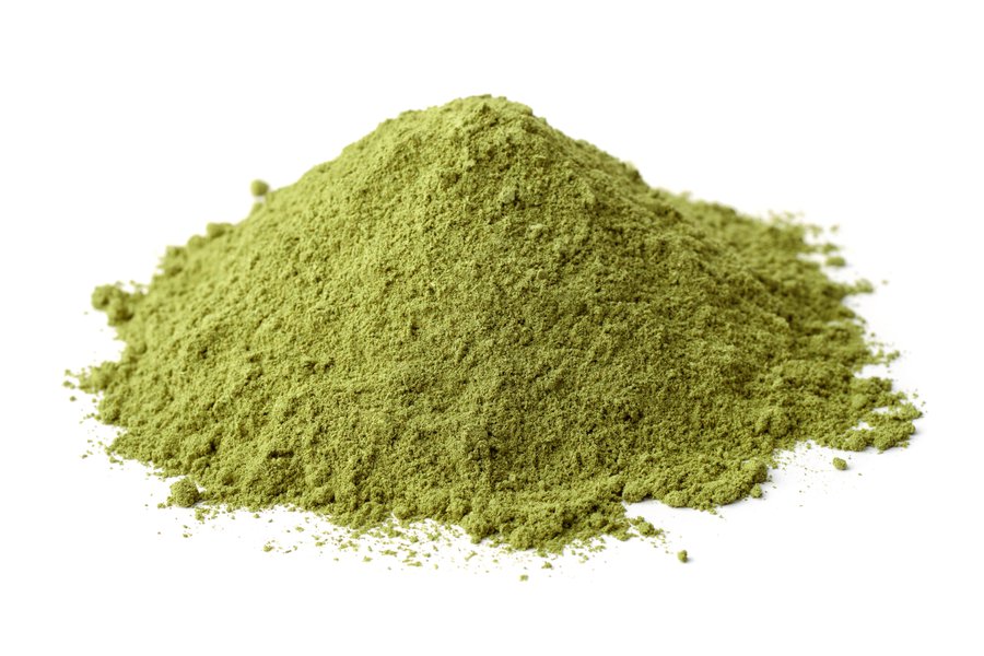 Polvo | Spanish to English Translation - SpanishDictionary.com