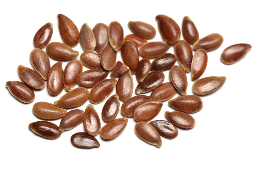 Semilla | Spanish to English Translation - SpanishDictionary.com