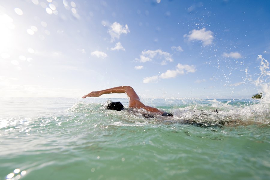 Swim | Traductor de inglés a español - inglés.com