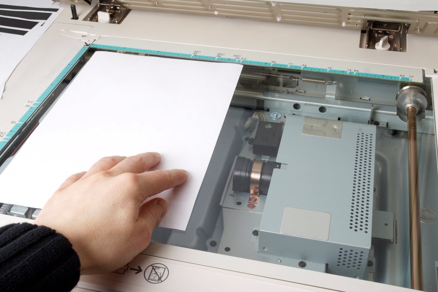 Copió | Spanish to English Translation - SpanishDictionary.com