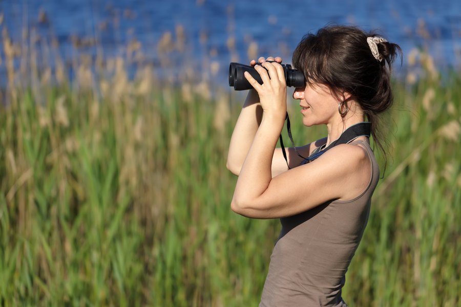 Observe in Spanish | English to Spanish Translation - SpanishDictionary.com