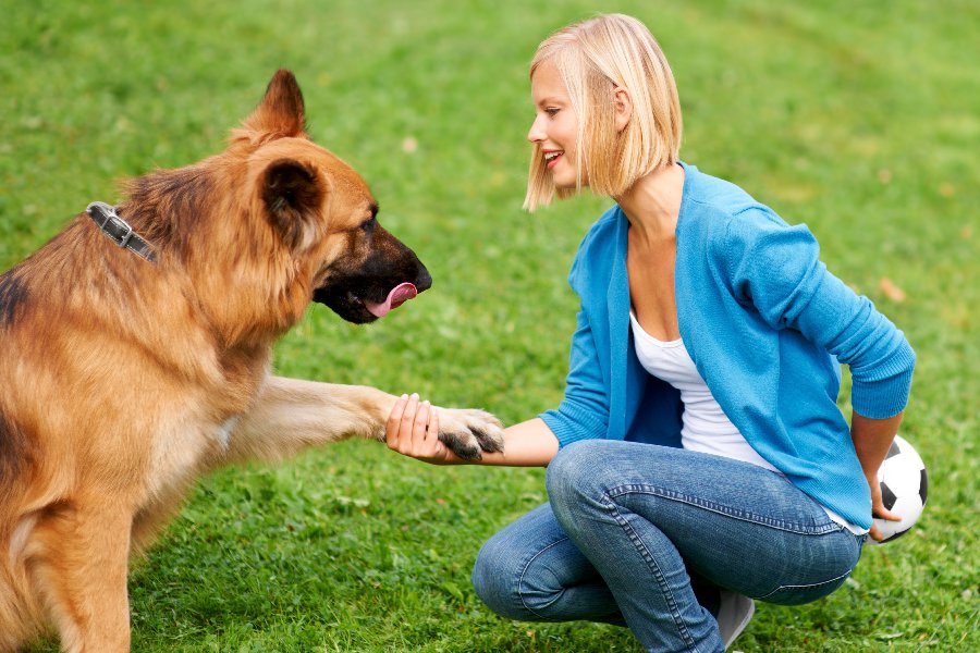 Tricks in Spanish | English to Spanish Translation - SpanishDictionary.com