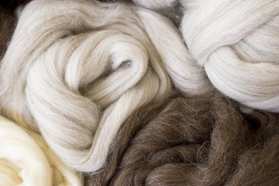 Wool | Traductor de inglés a español - inglés.com