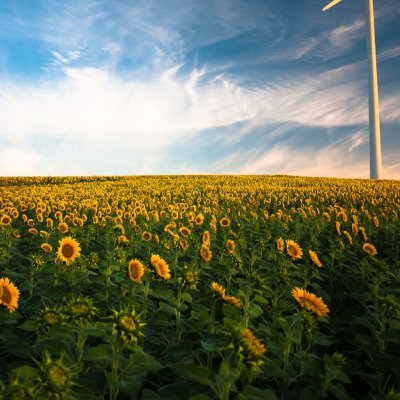 Puse Conjugation | Conjugate Poner in Spanish