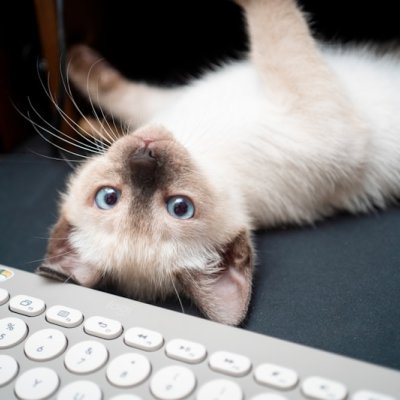 Jeter Conjugation | Conjugate Jeter in French