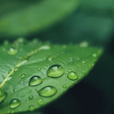 Acheter Conjugation | Conjugate Acheter in French