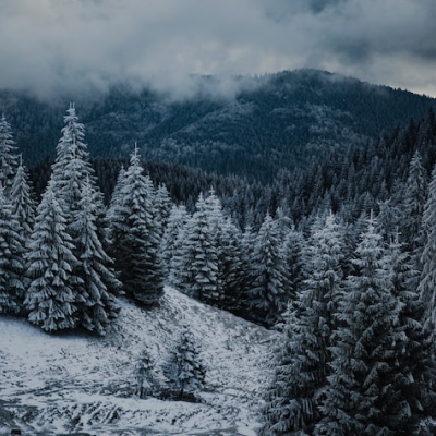 hier | French to English Translation - FrenchDictionary.com