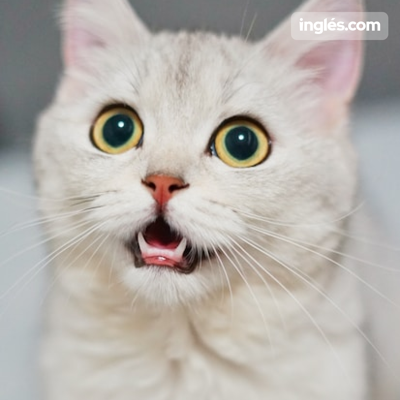 Gggfff | Traductor inglés español